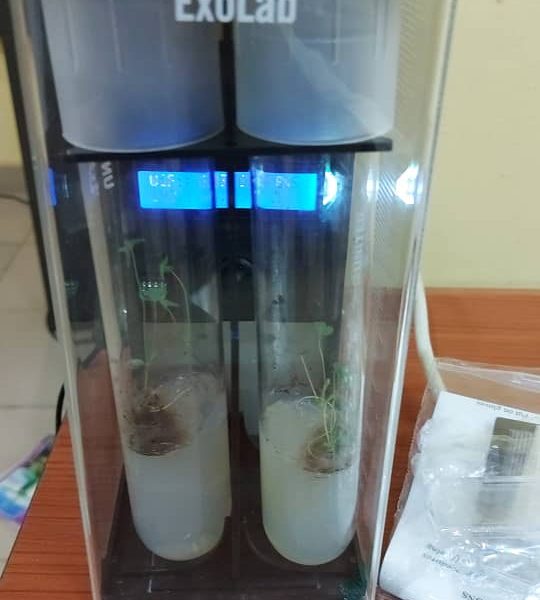‘Selection of GSS Garki for Crop Planting Programme will Encourage ...